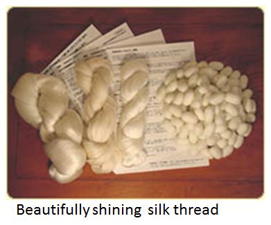 Visit Silk Museum in Yokohama | Asia Japan Techno-Museum Forum Blog Info